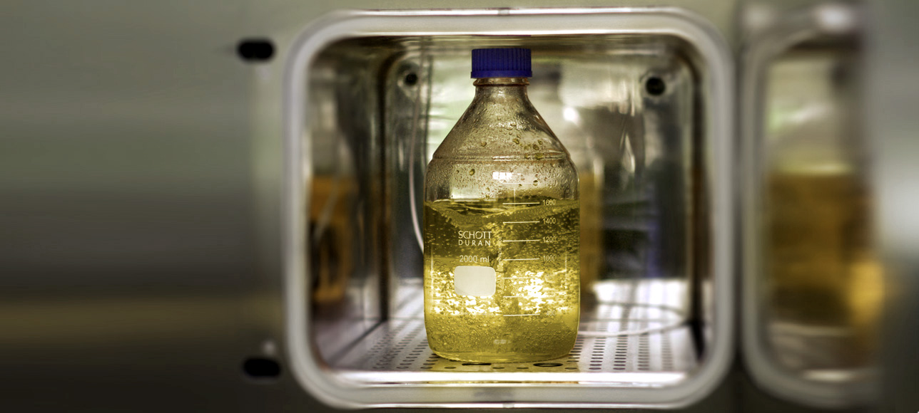 Startseite - Meditech